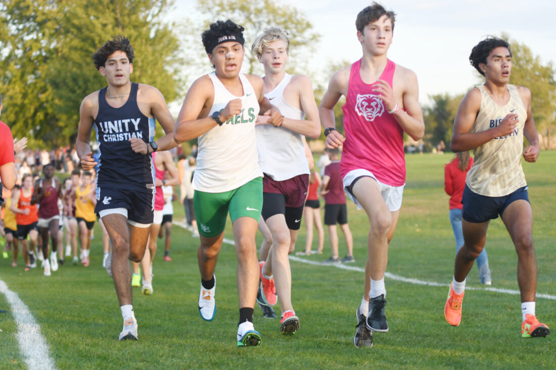 State-qualifying cross country up next for area squads | News, Sports ...